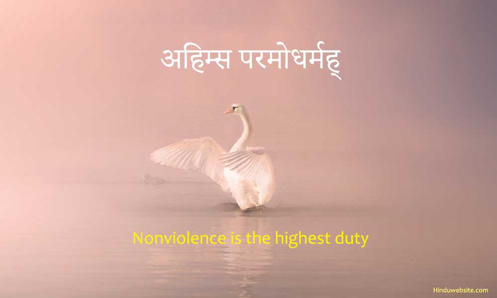 Ahimsa: The Philosophy of Nonviolence in Indian Spirituality